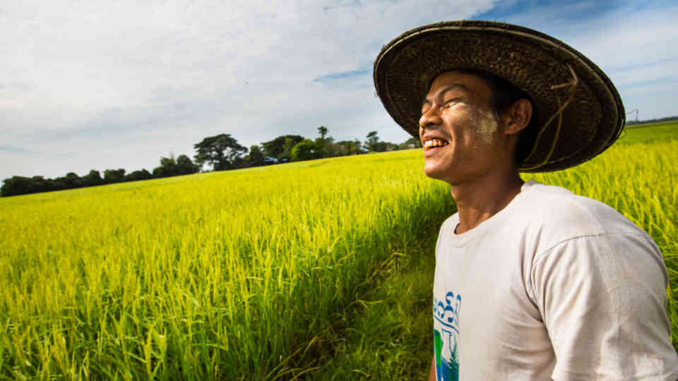 Sustainable Development Cluster | UNOPS