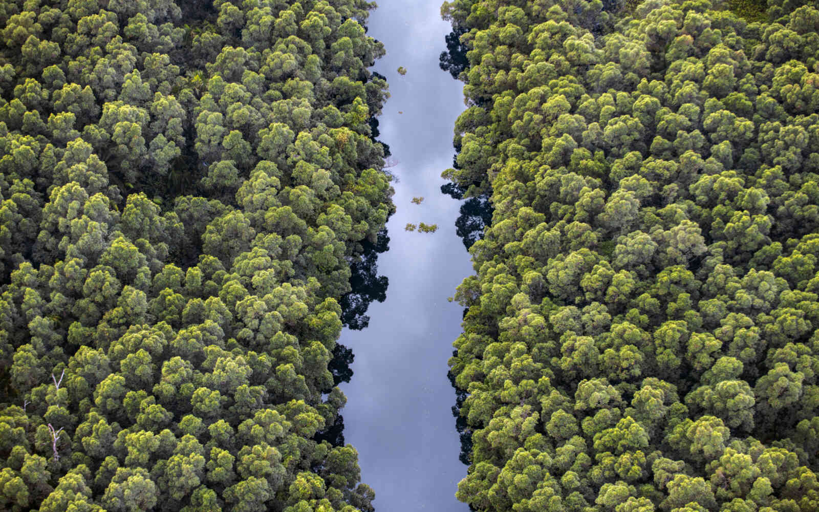 Advancing climate action. Building resilience. | UNOPS