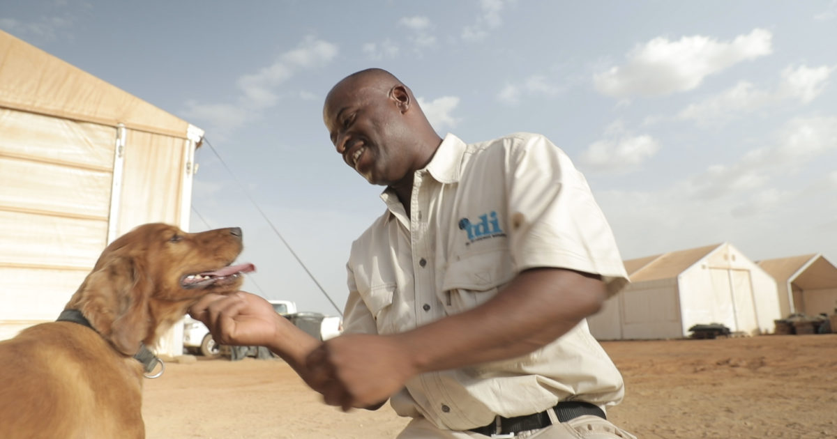 Explosive Detection Dogs | UNOPS