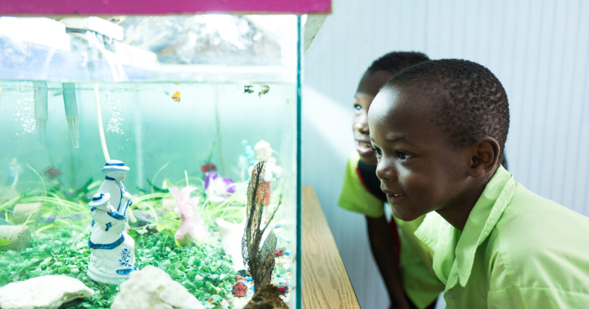 Making waves | UNOPS