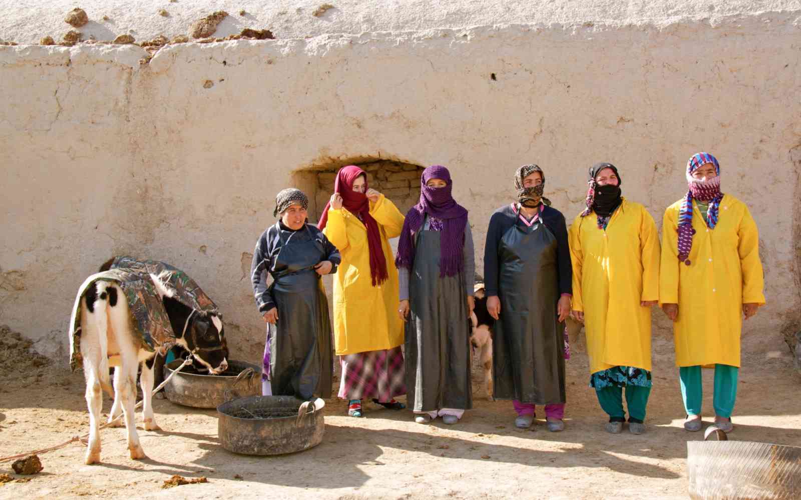 Dismantling a 2000-pound aerial bomb in Gaza | UNOPS