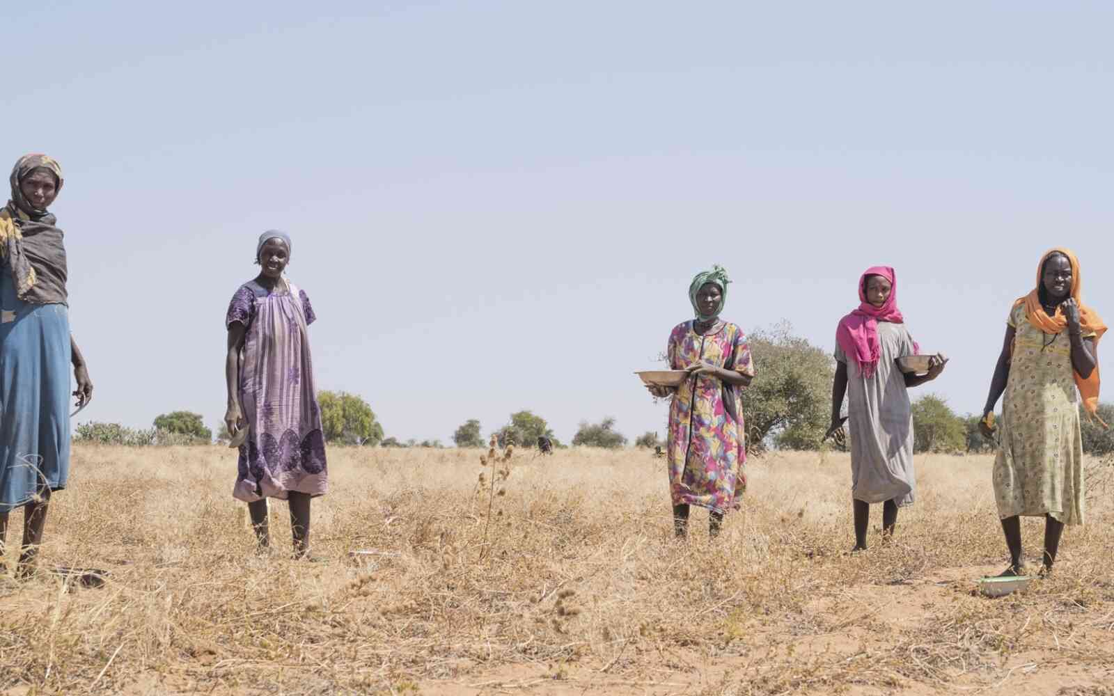 L’agriculture, moteur du développement au Niger | UNOPS