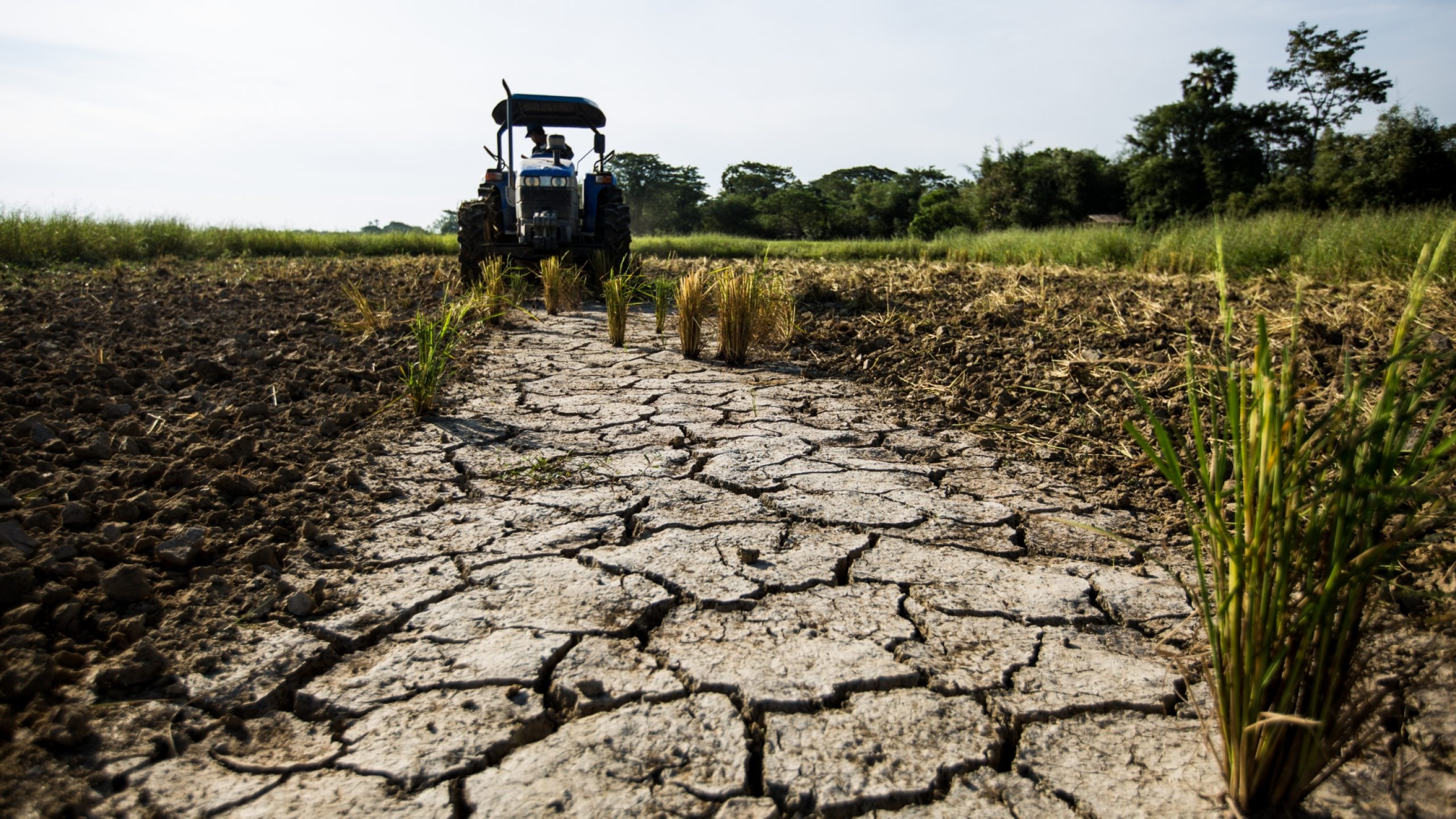 A new future for rural Myanmar | UNOPS