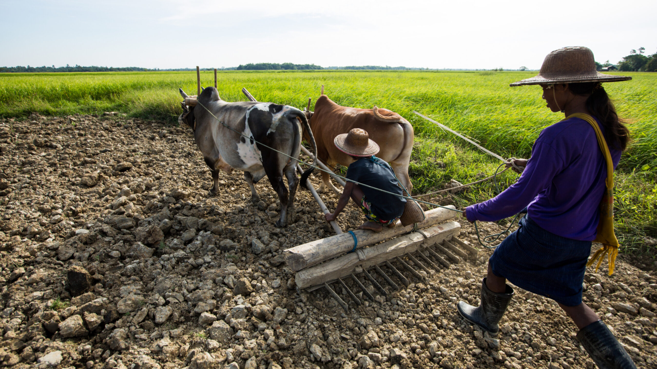 A new future for rural Myanmar | UNOPS