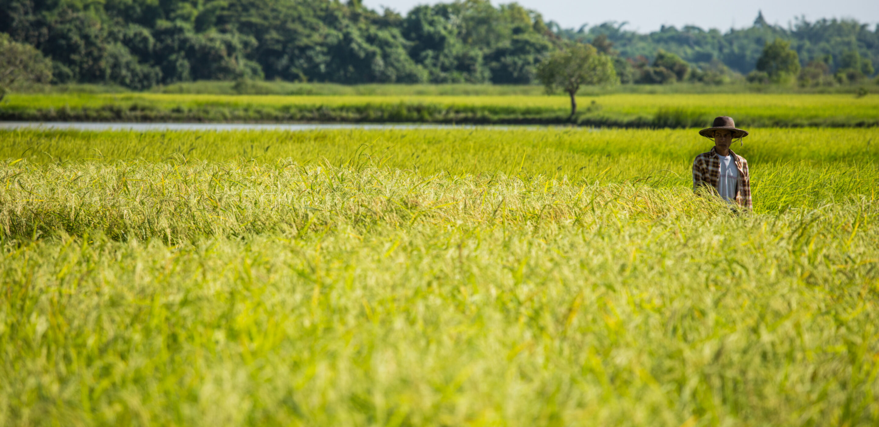 A new future for rural Myanmar | UNOPS