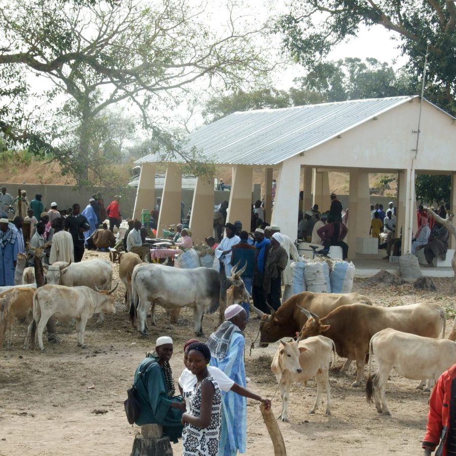 Helping communities in West Africa improve food security | UNOPS