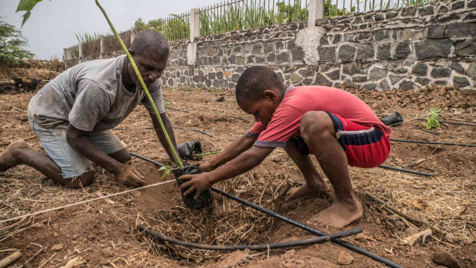 Promoción de la acción climática. Fomento de la resiliencia | UNOPS