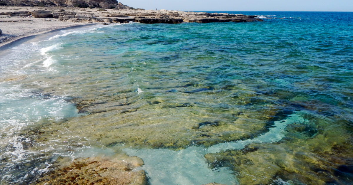 Healthier ecosystems in the Caspian Sea | UNOPS