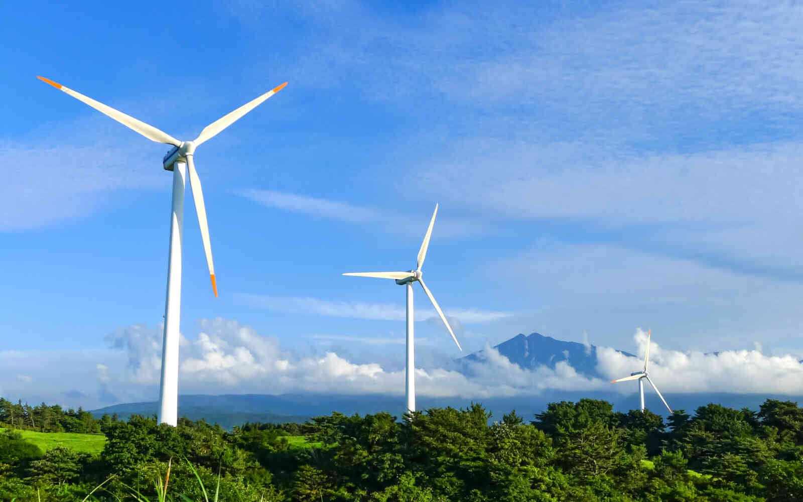 Promoción de la acción climática. Fomento de la resiliencia. | UNOPS