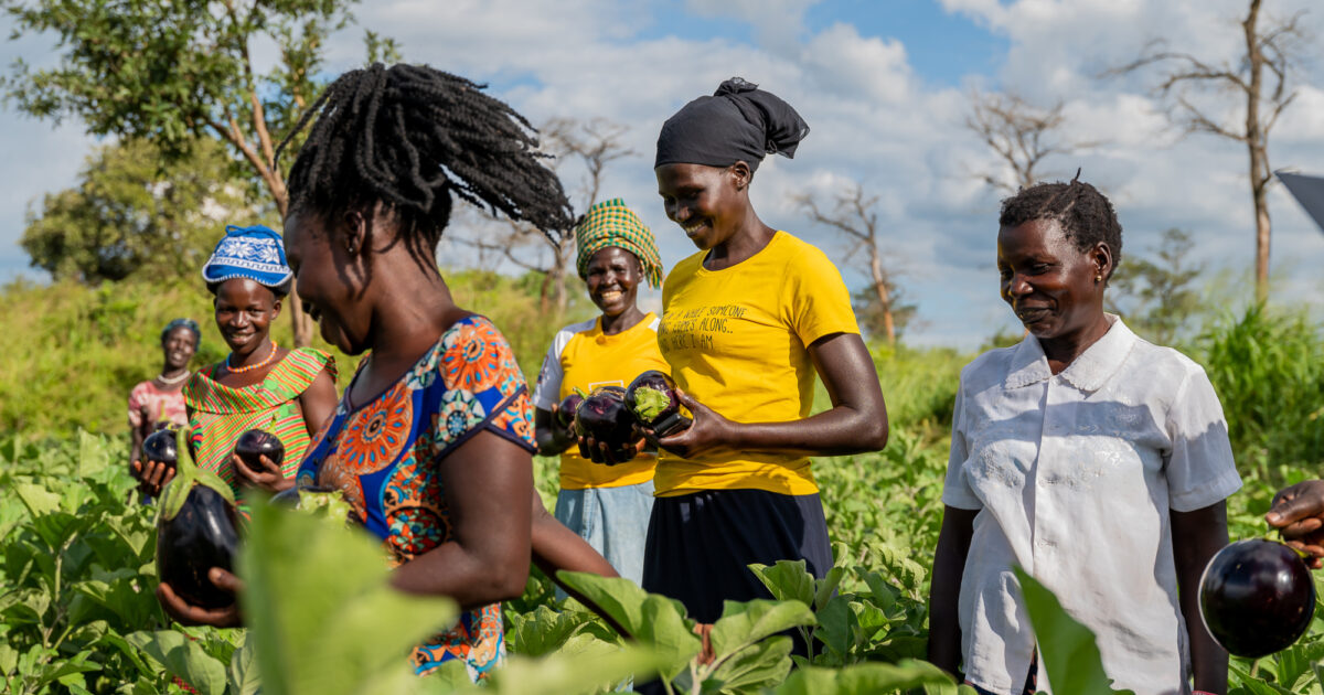 Lives in Dignity: Stories of strength from the frontlines of… | UNOPS