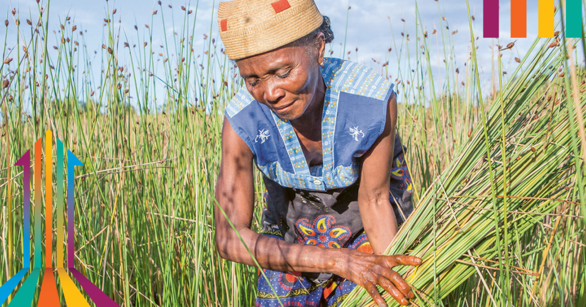 Hosted Partnerships Unops