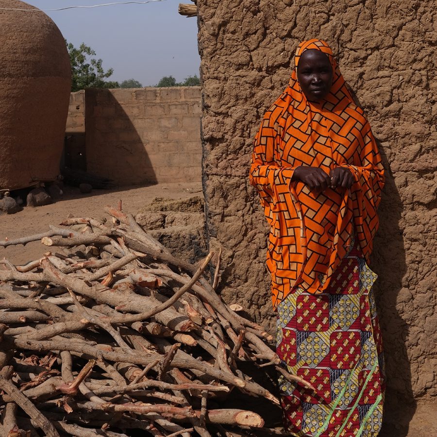 L’agriculture, moteur du développement au Niger | UNOPS